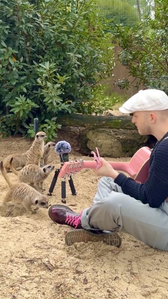 Plumes, 101 The Fascinating Animal Singer Traveling France To Serenade ...